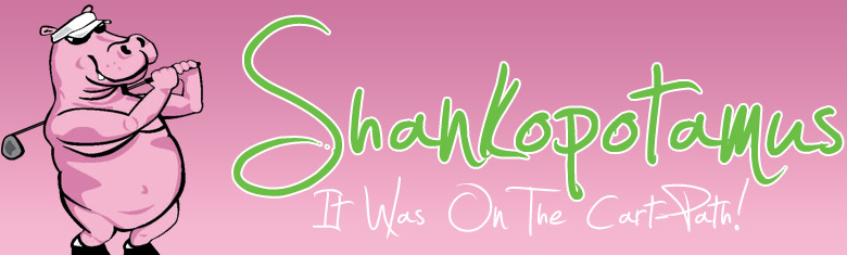 Team/Player Profiles